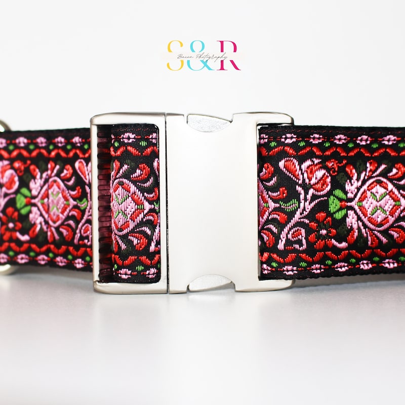 Cute Dog Collar 2 Inch - Etsy