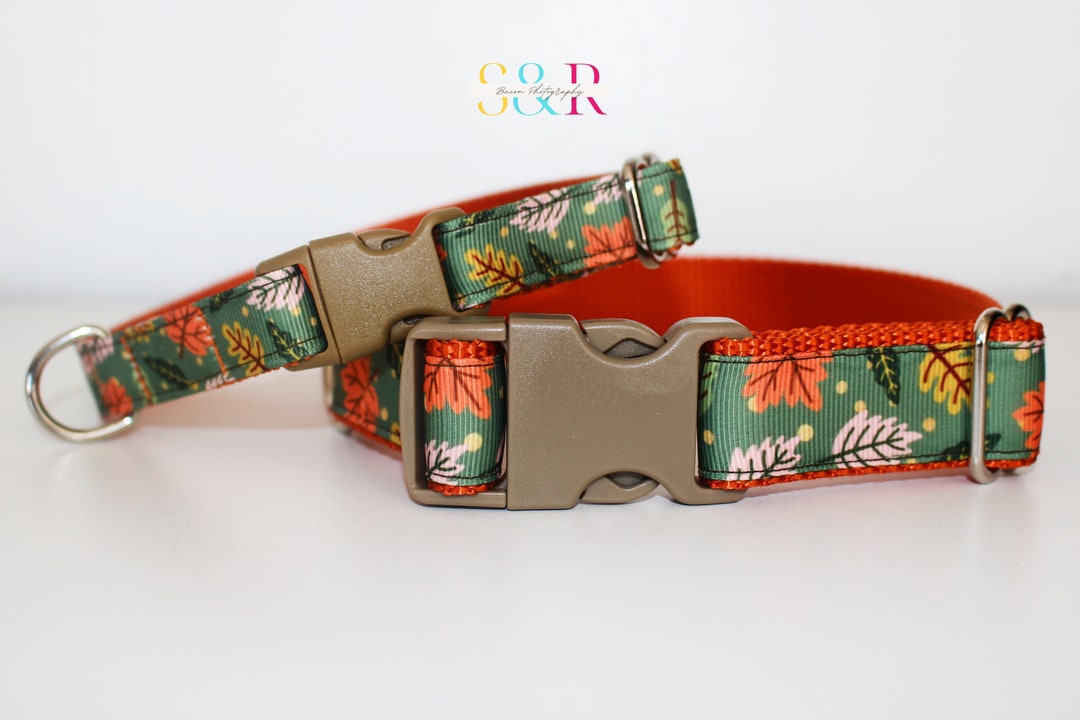 Autumn Dog Collar, Leaf Dog Collar, Fall Dog Collar, Fall Leaves Dog ...