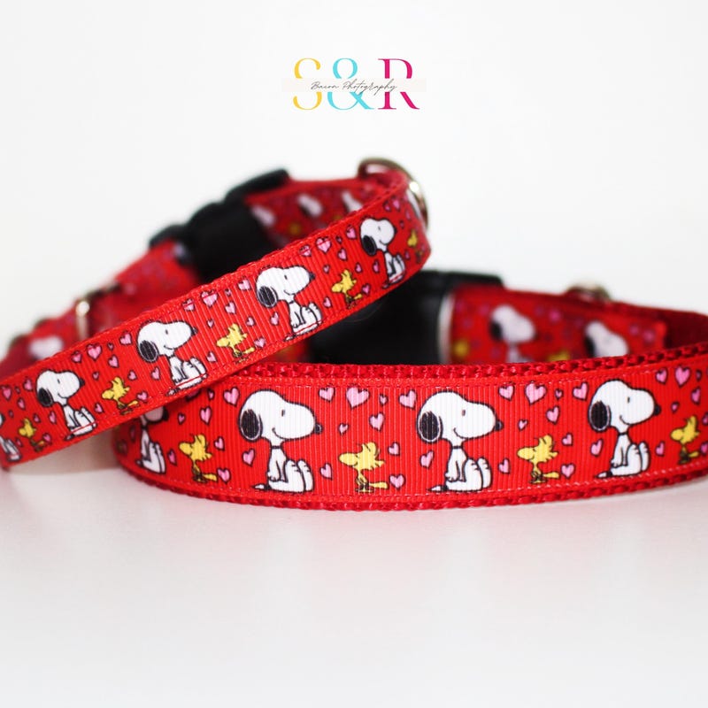 Boy Valentine Cat Collar - Etsy