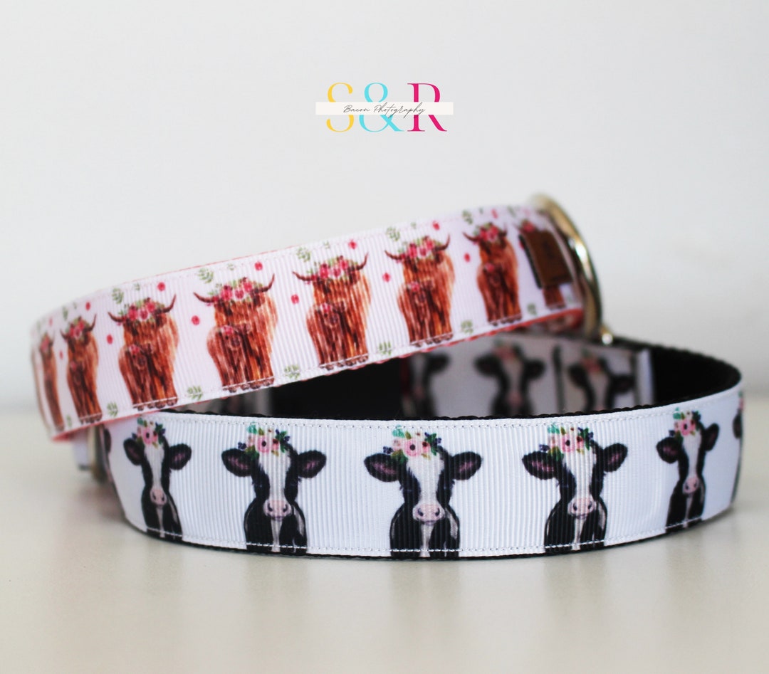 Highland Cow Dog Collar - Boho Cow Dog Collar - 1" Wide Adjustable Dog ...