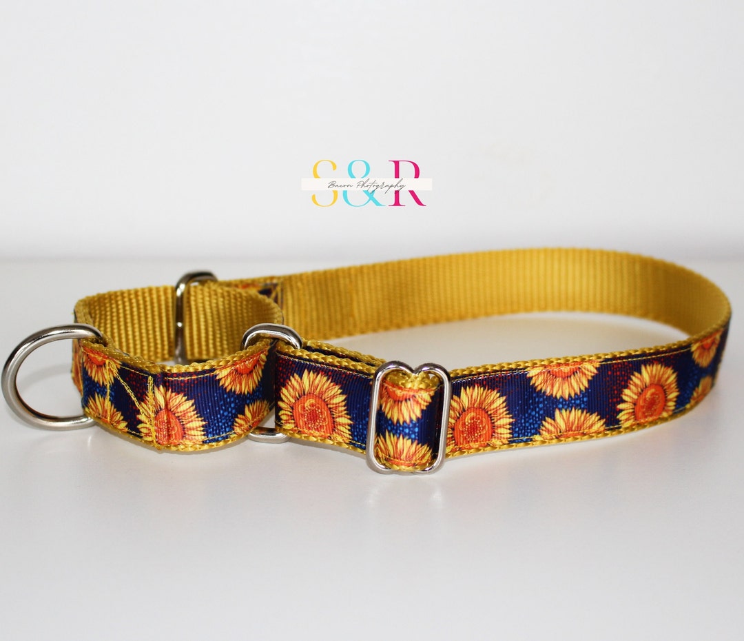 Sunflower Dog Collar, Yellow Flower Dog Collar, Fall Floral Dog Collar ...
