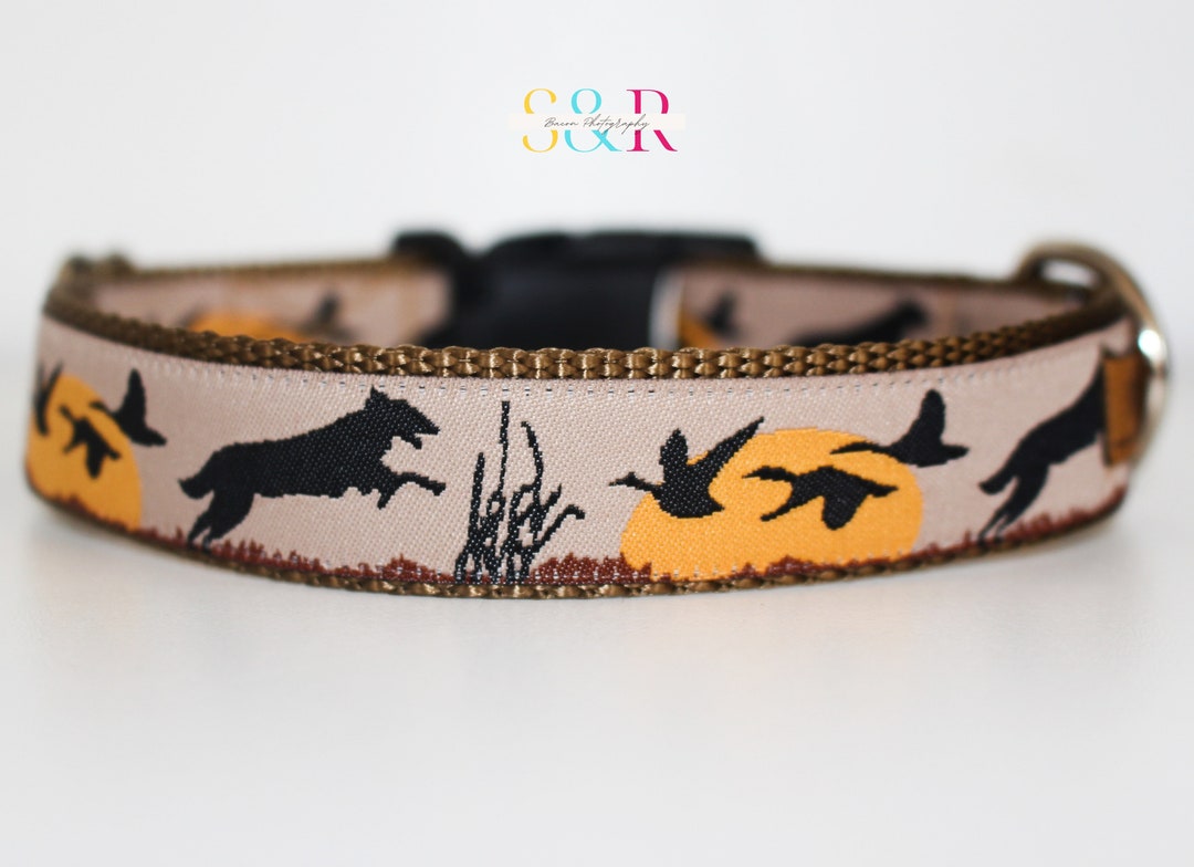 Duck Hunting Dog Collar, Bird Dog Collar, Retriever Dog Collar, Boy Dog ...