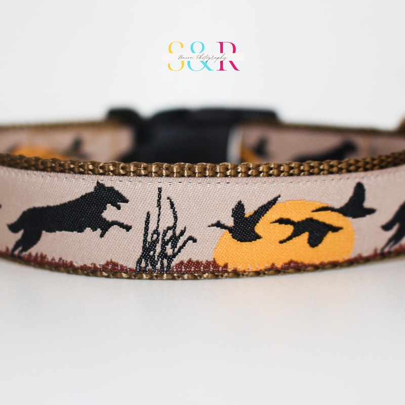 Hunting Dog Collars - Etsy