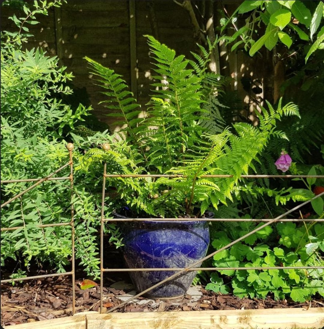 Pet Barrier- Keep Pets Out of Your Flower Beds. Attractive Hurdle ...