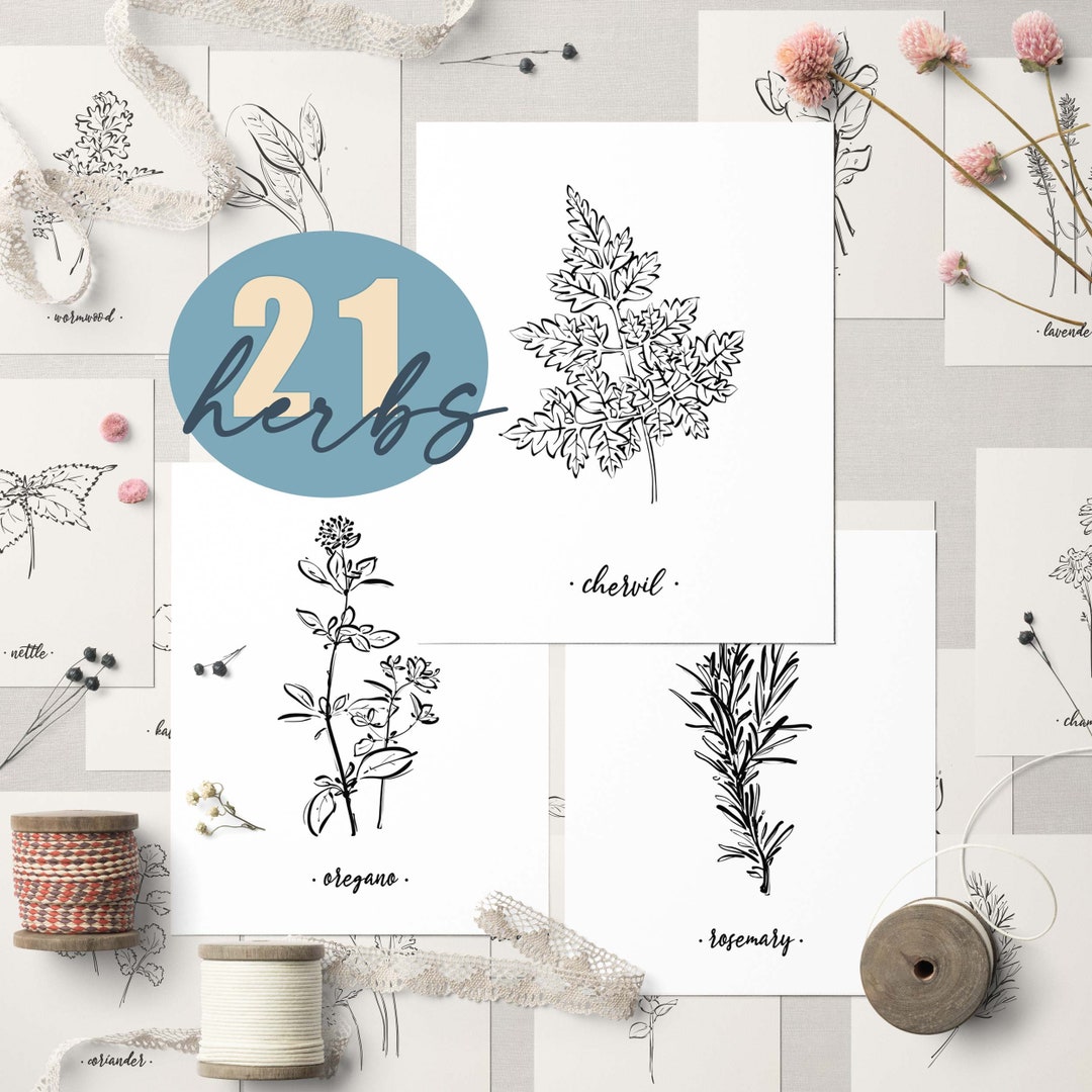 Botanical Printable Wall Art Set of 21 Herbs, Gallery Wall Decor ...
