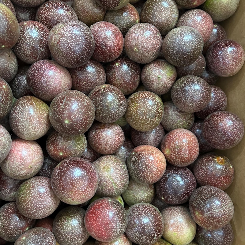 Fresh Fruit Passion Fruit - Etsy