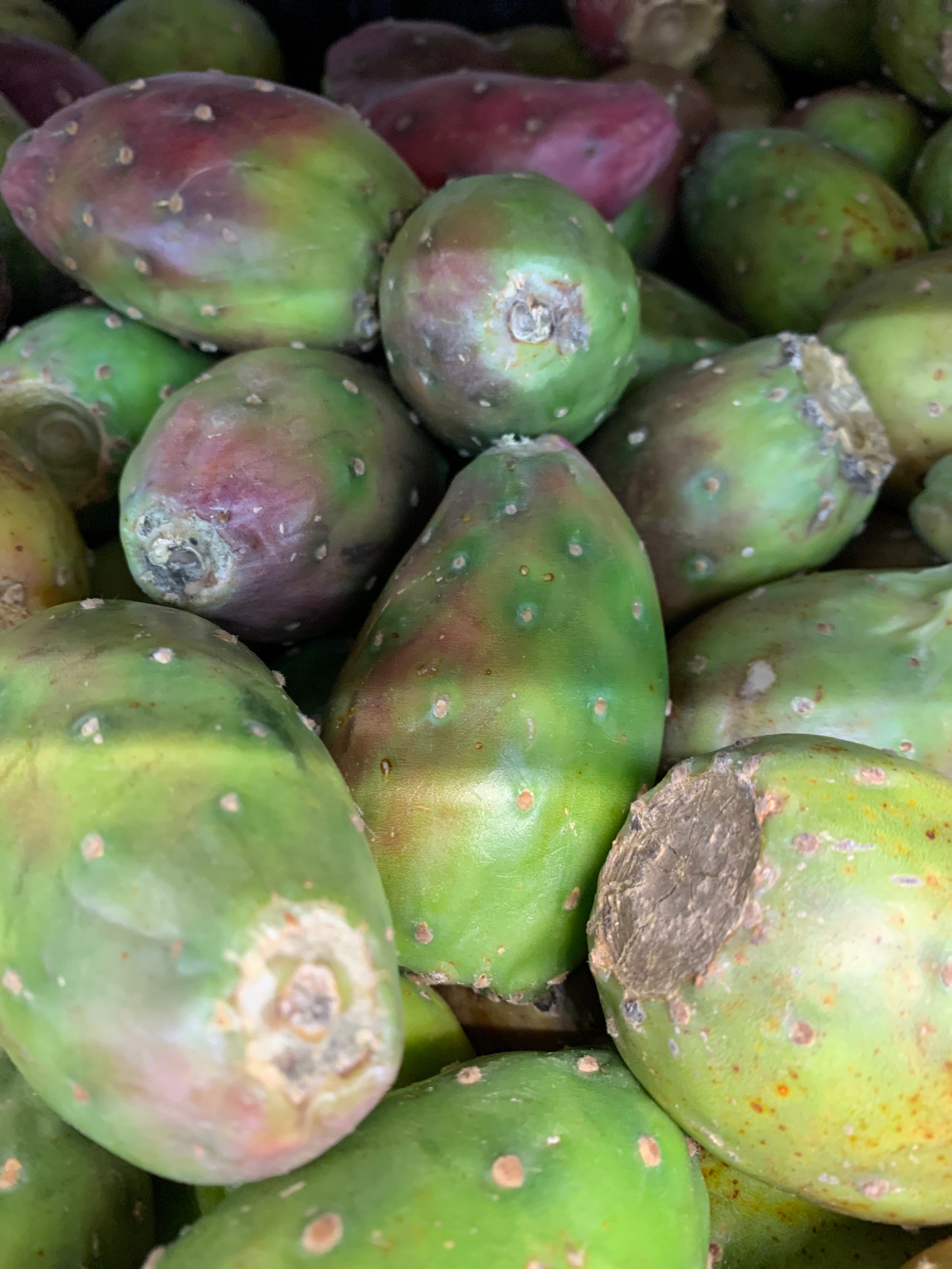 Green Prickly Pear Fruit