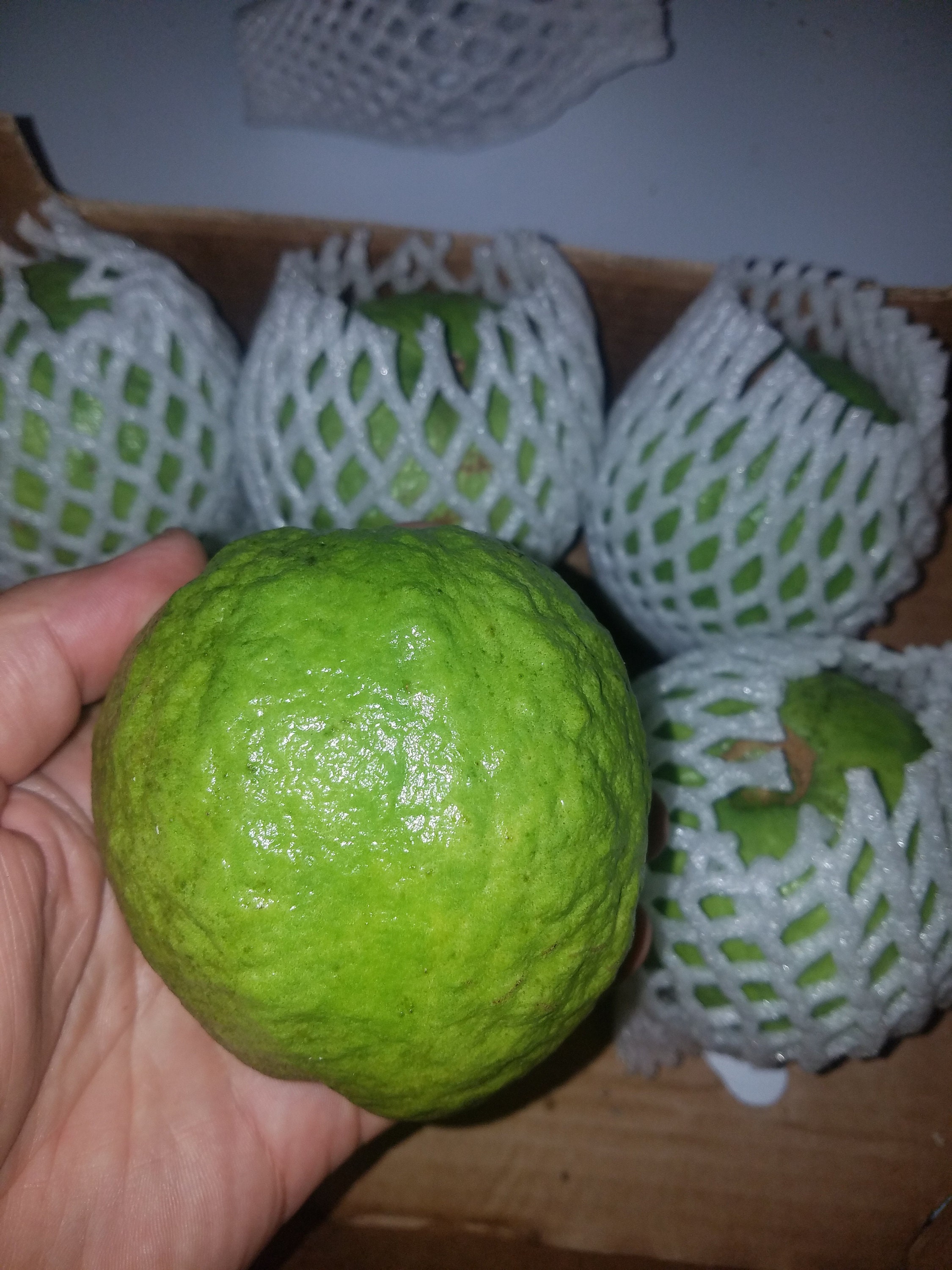 Fresh Thai Guava 5 LBS the Actual Fruit Jamfal - Etsy Hong Kong