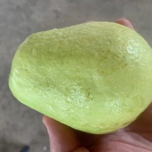 Chinese Guava the Actual Fruit - Etsy