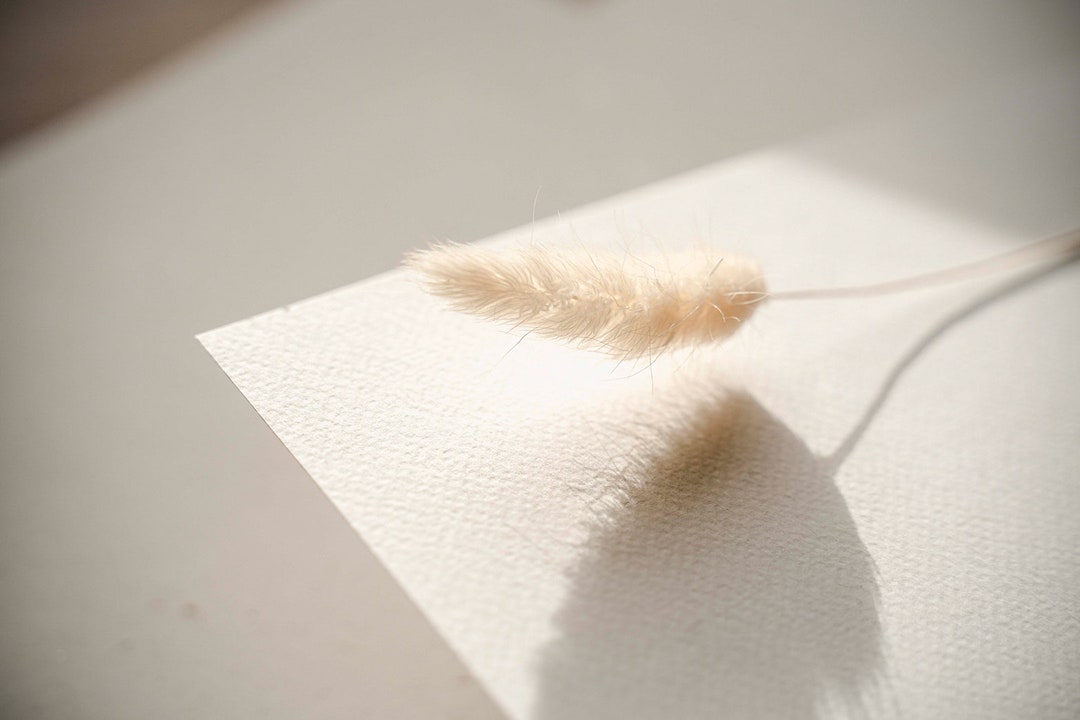 Structured Paper 200g and 300g / Paper for Card Making / High-quality ...