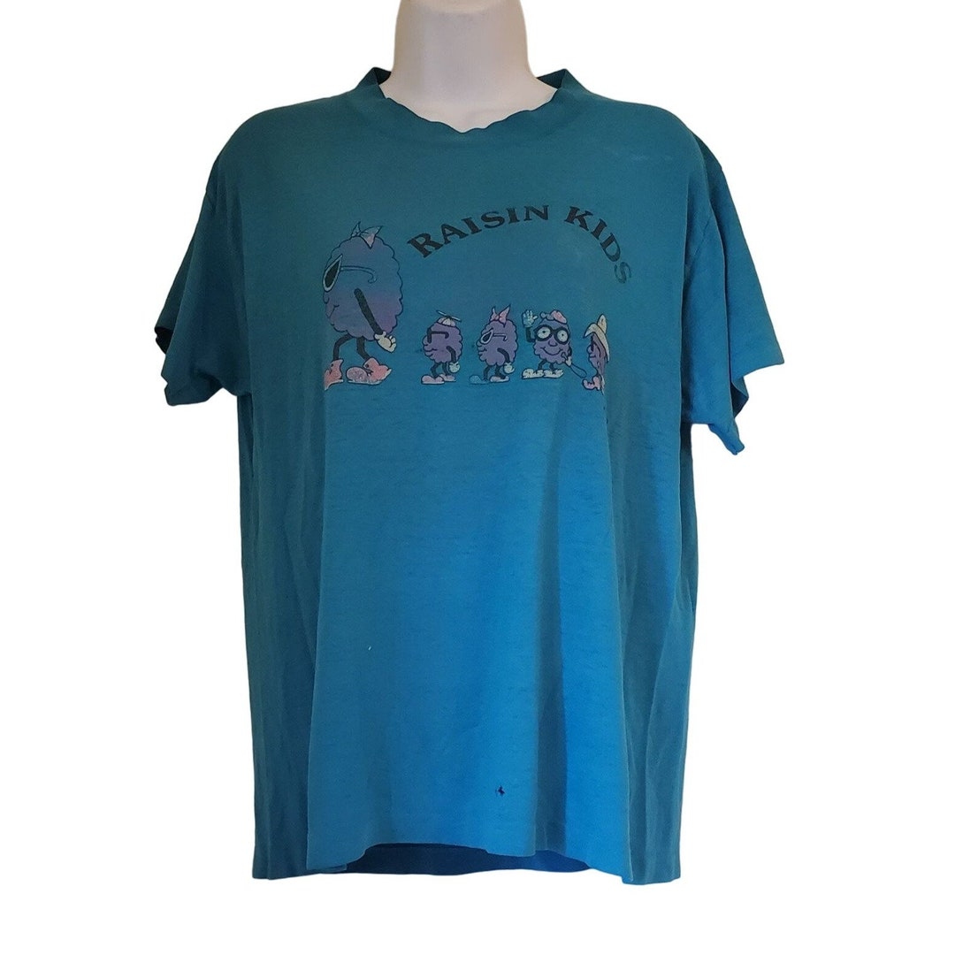 Vintage Single Stitch M Raisin Kids 88 USA Thrashed Distressed T Shirt ...