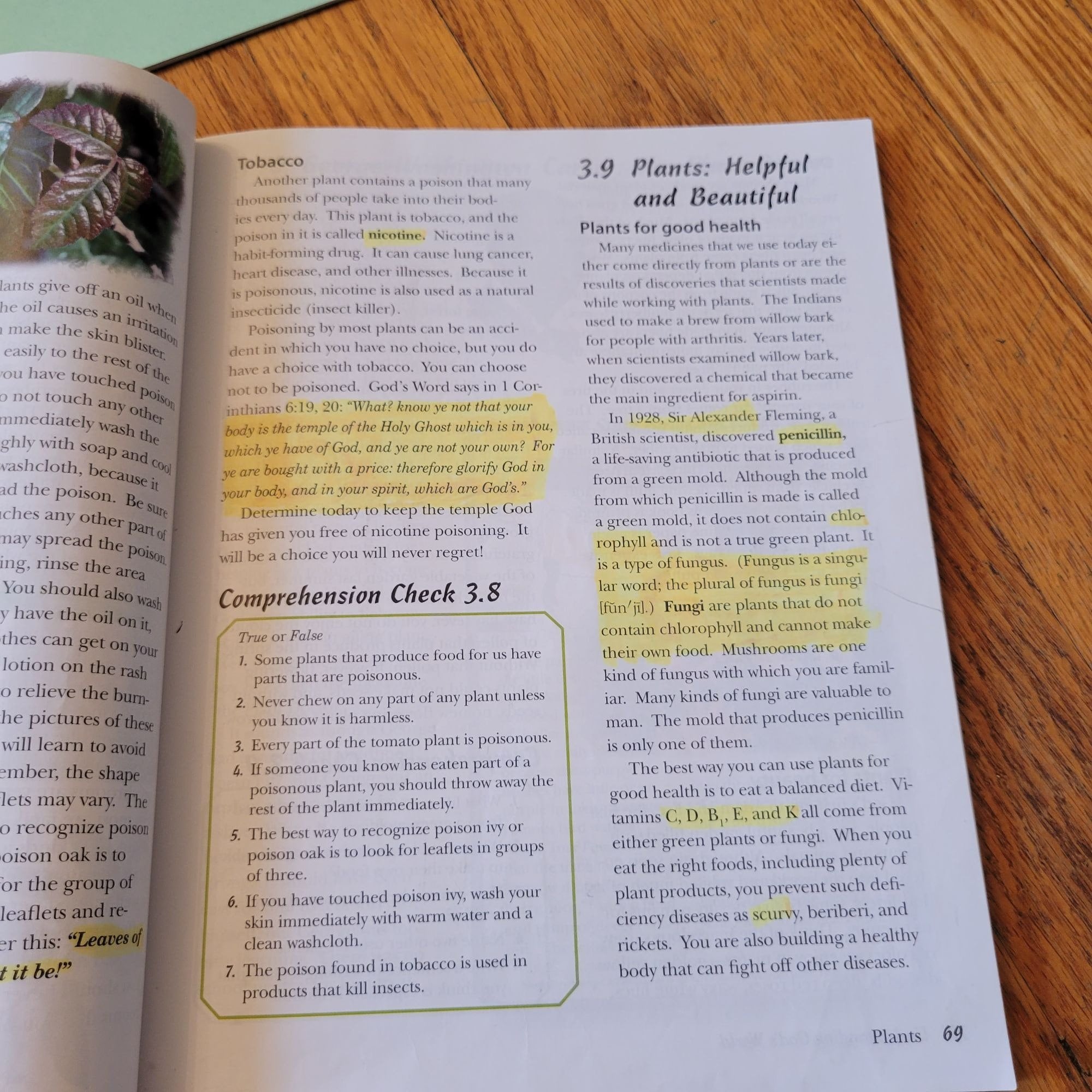 Abeka Health Science History Grade 4 Work Text Answer Test Key Book Lot ...