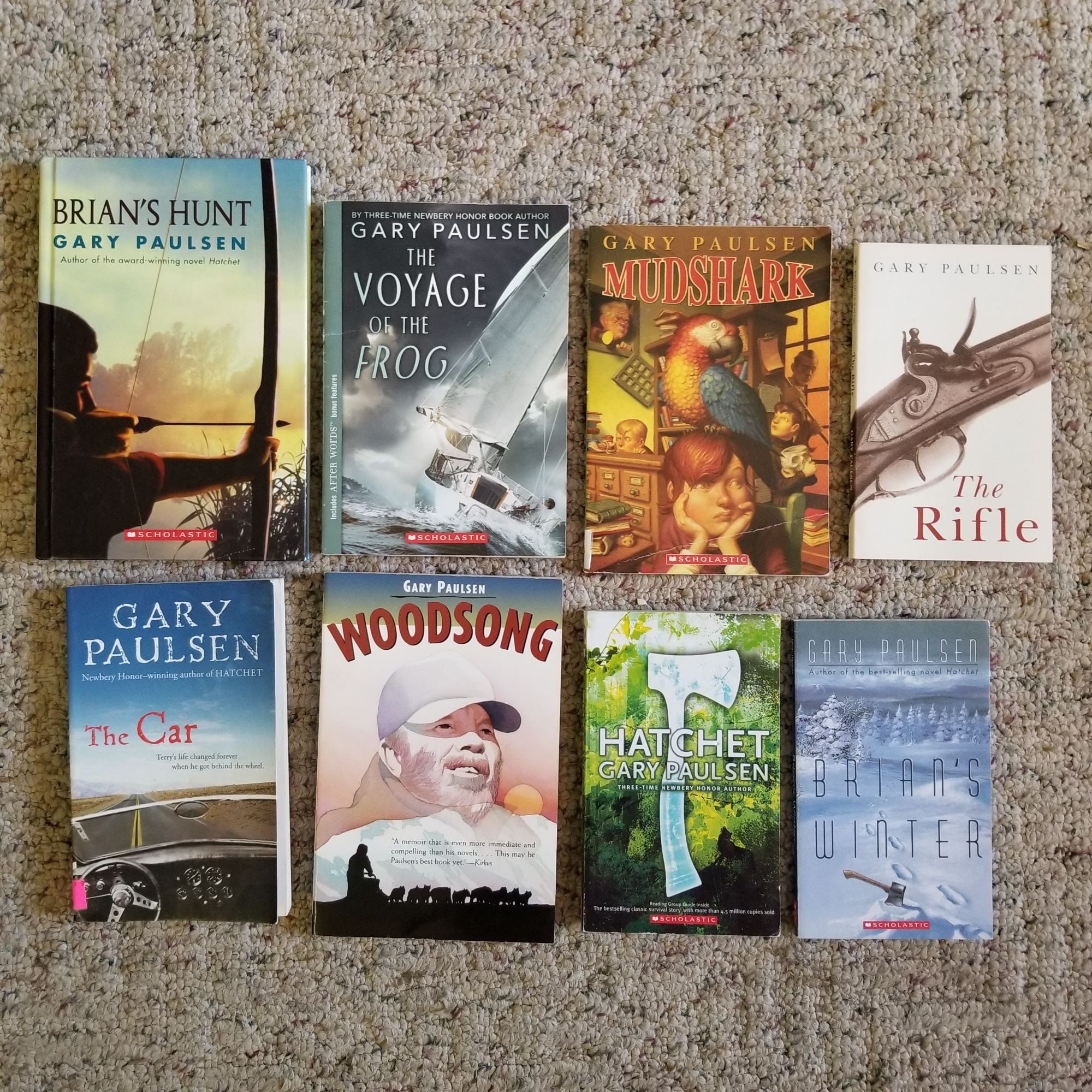 Brians Winter Book Cover