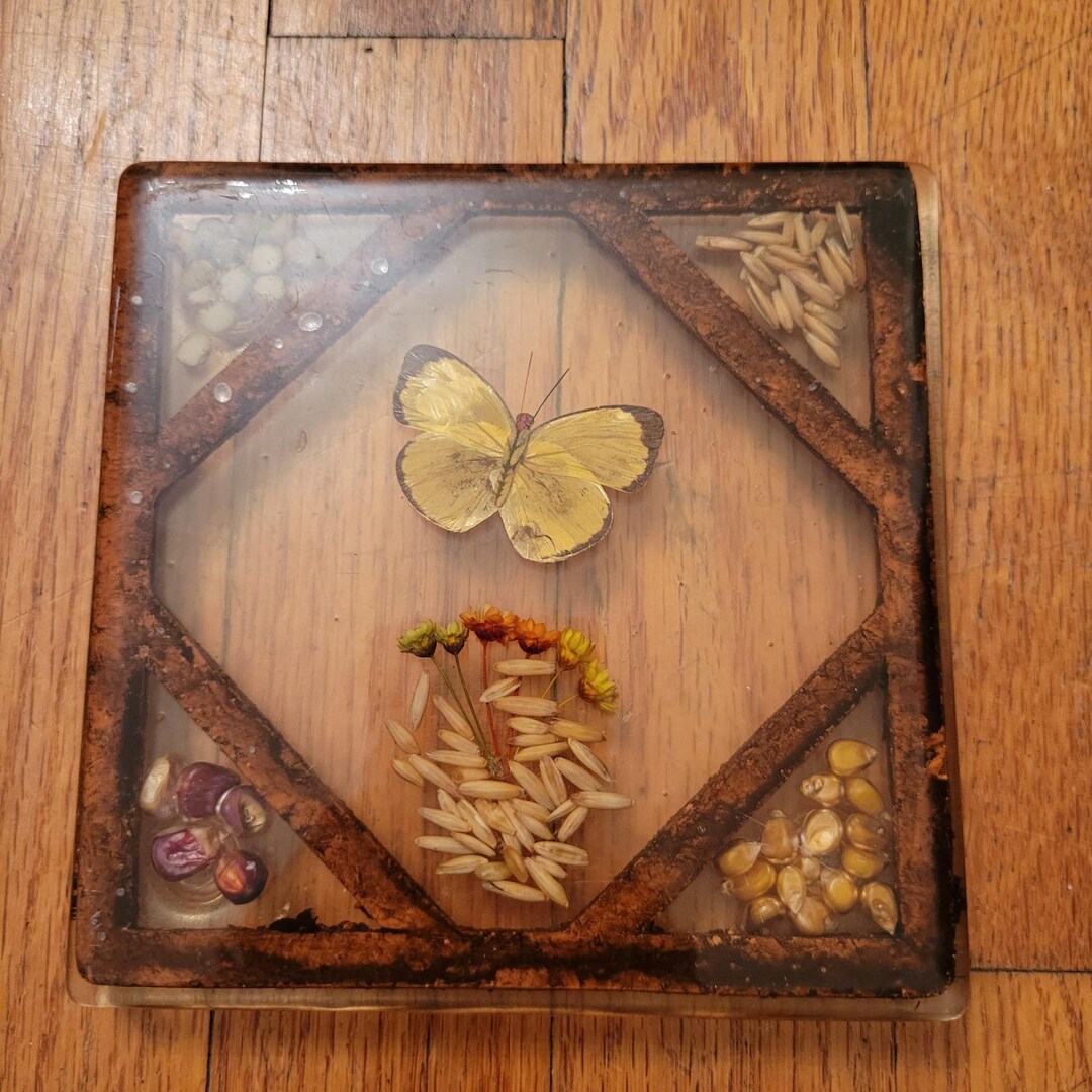 Vintage Resin Butterfly Trivet Seeds Flowers Home Decor Cottage Country ...