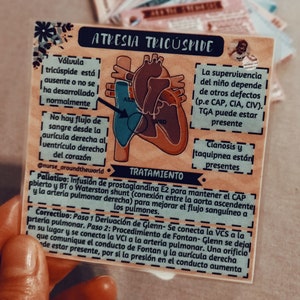 Only PDF BILINGUAL Nursing Flashcards - Etsy