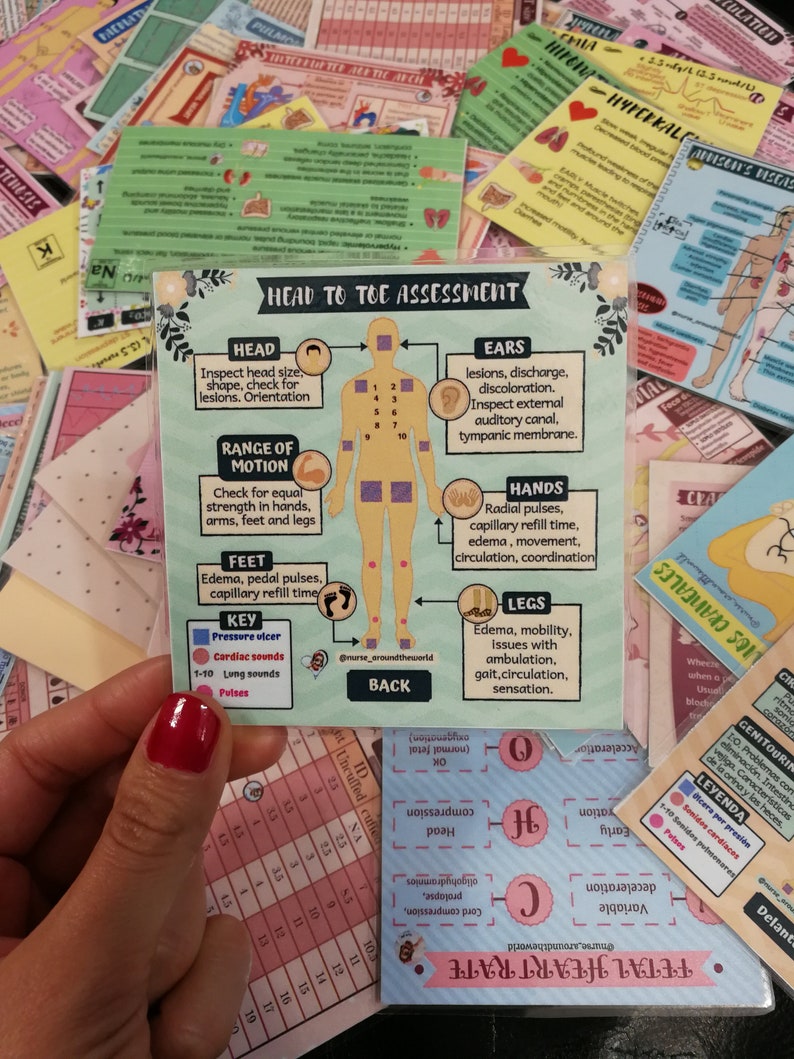 Only PDF ENGLISH Assessment Flashcards - Etsy