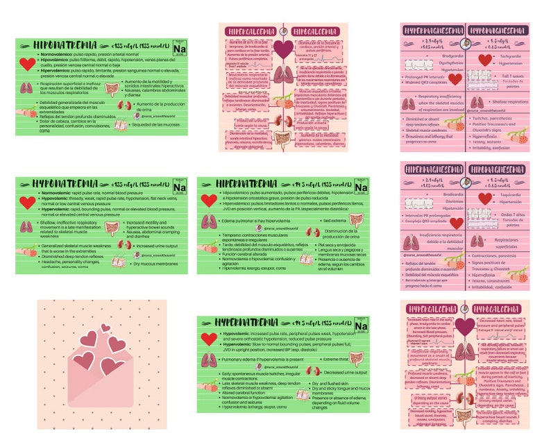 Only PDF BILINGUAL Nursing Flashcards - Etsy