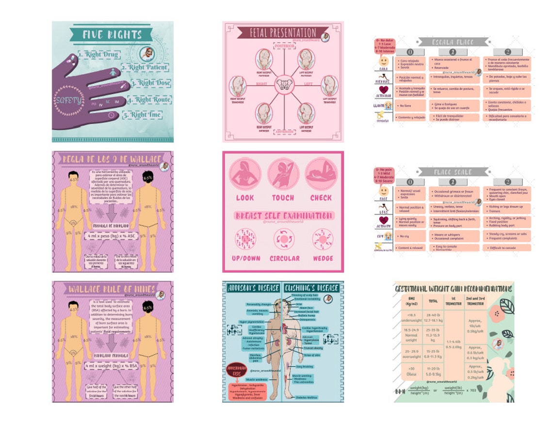 Only PDF BILINGUAL Nursing Flashcards - Etsy