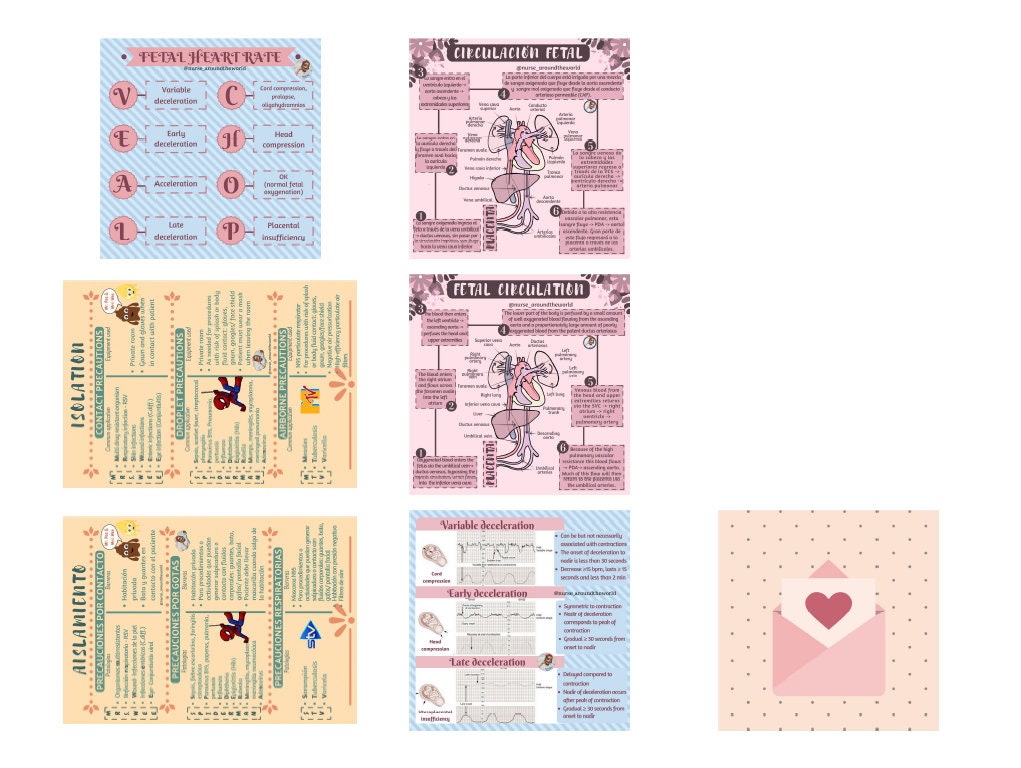 Only PDF BILINGUAL Nursing Flashcards - Etsy