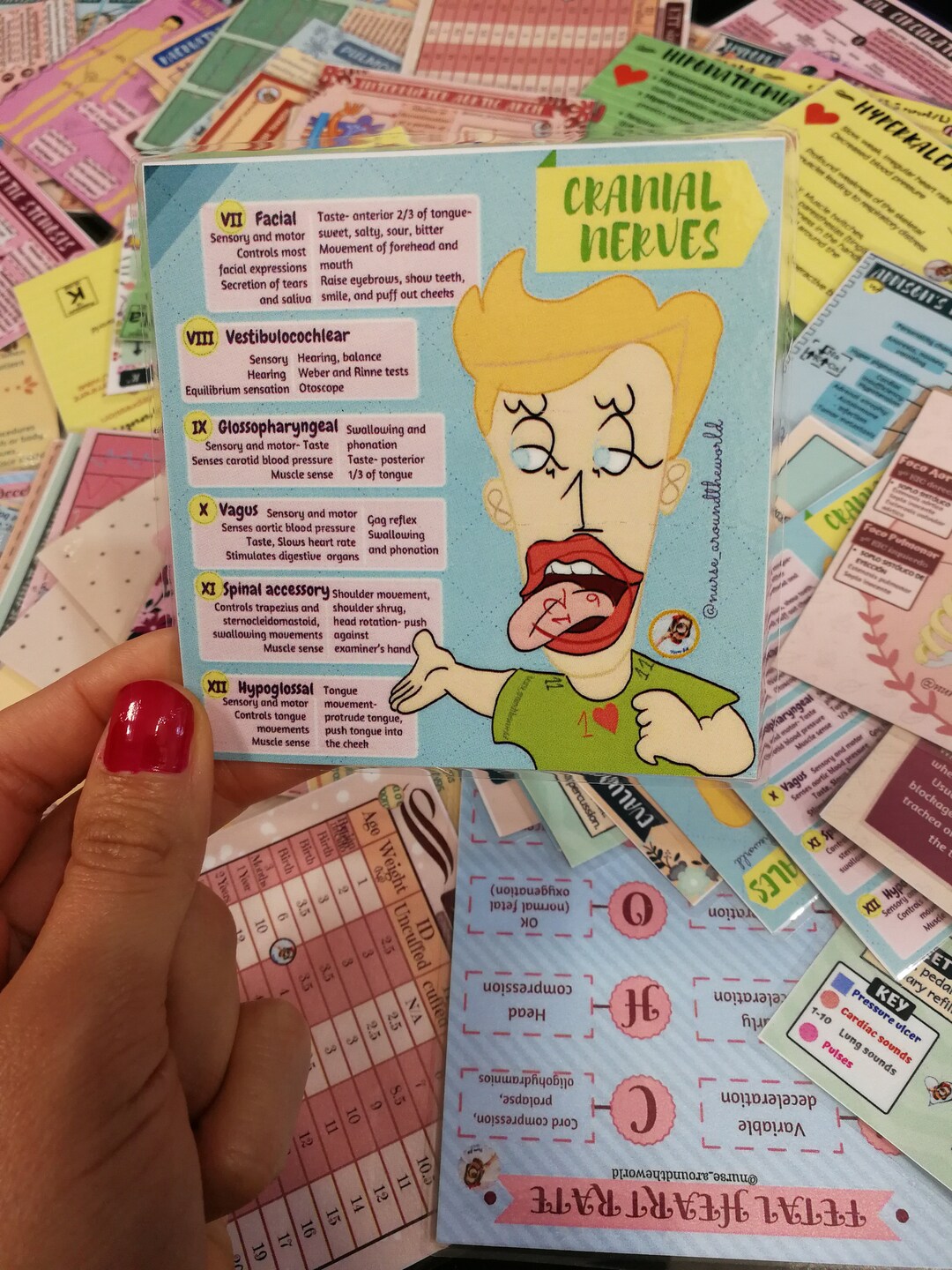 Only PDF ENGLISH Assessment Flashcards - Etsy