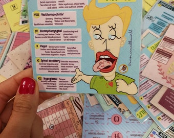 Only PDF BILINGUAL Nursing Flashcards - Etsy