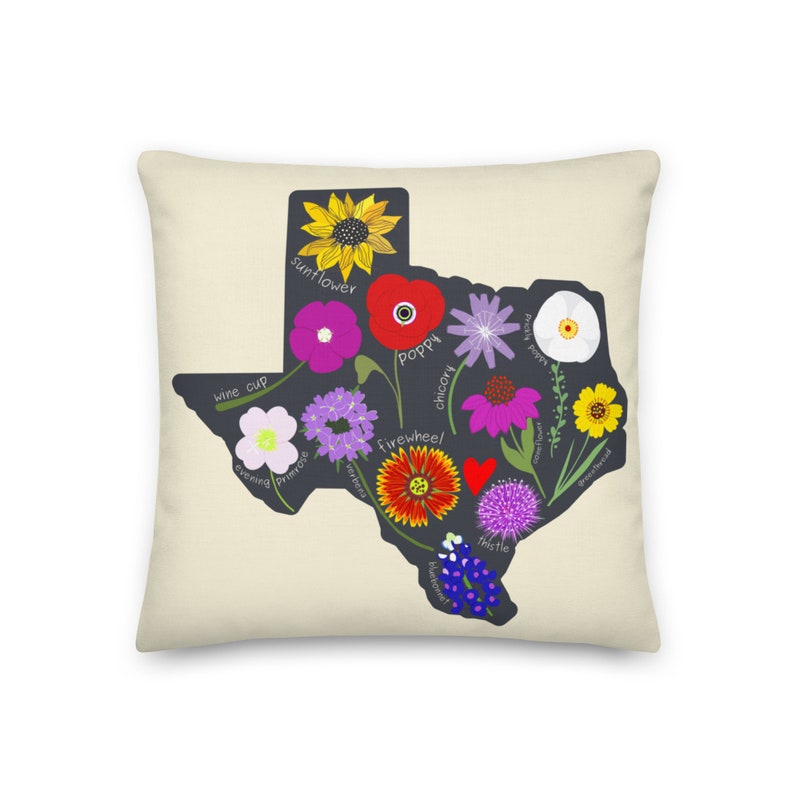 Texas Pillow - Etsy