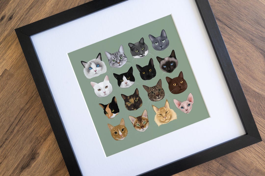 Colorful Cats Art Print, 16 Cat Breeds Illustration - Etsy