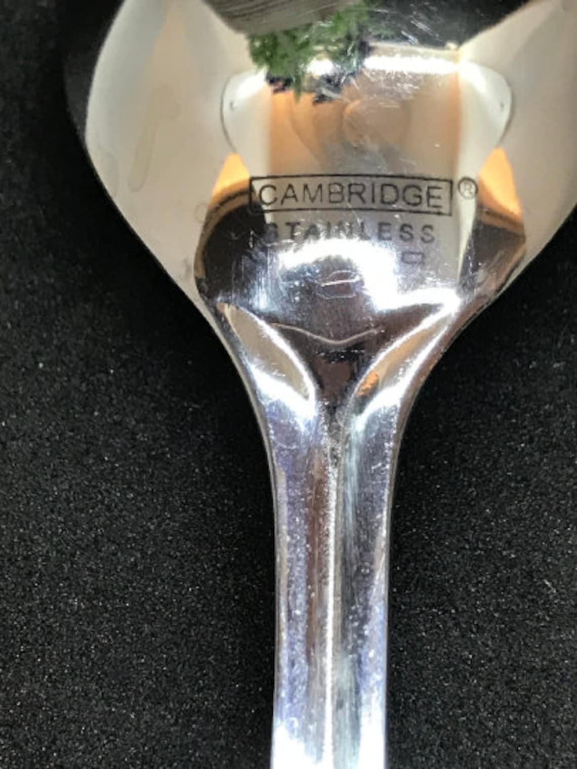 Cambridge Stainless Aurora Stainless Serving Spoon - Etsy