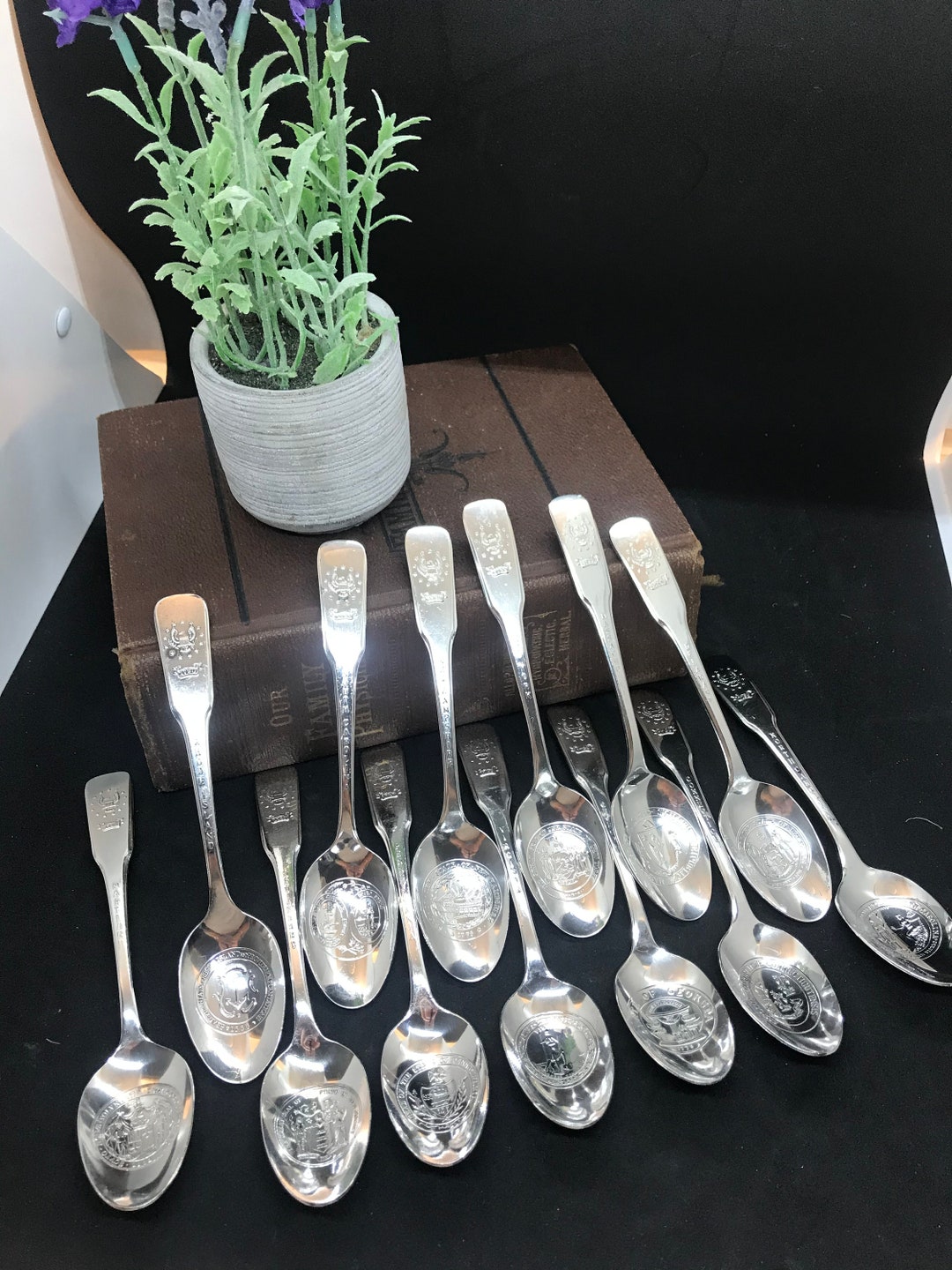 13 Colonies-bicentennial Spoon by INTERNATIONAL SILVER - Etsy