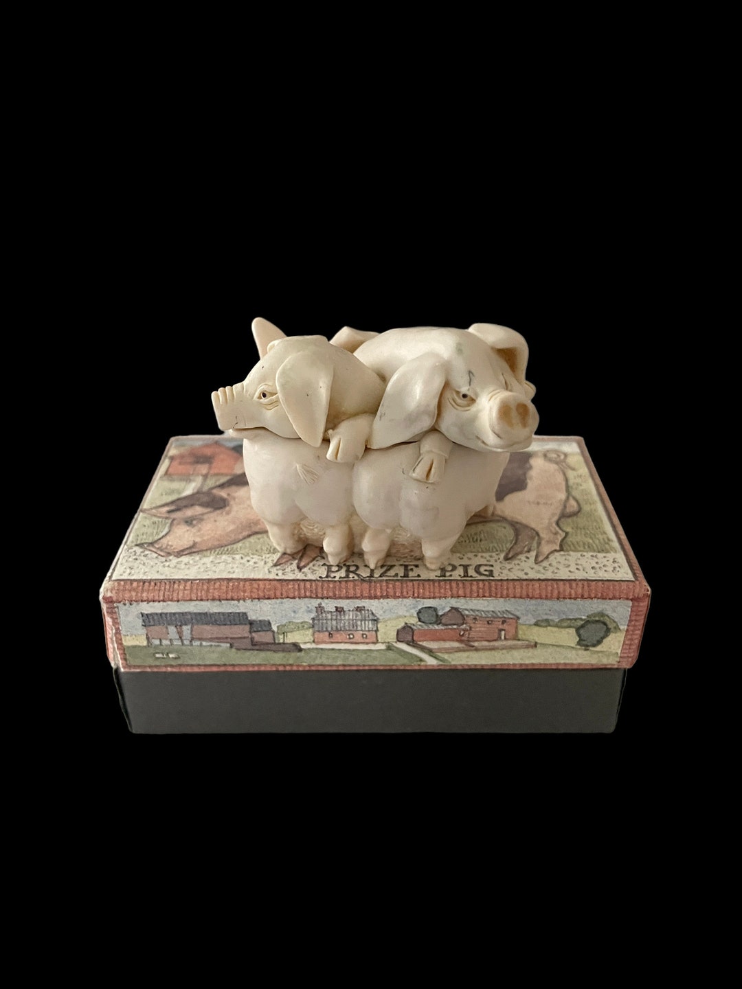 Hamming It up Pigs Trinket Box Treasure Box - Etsy