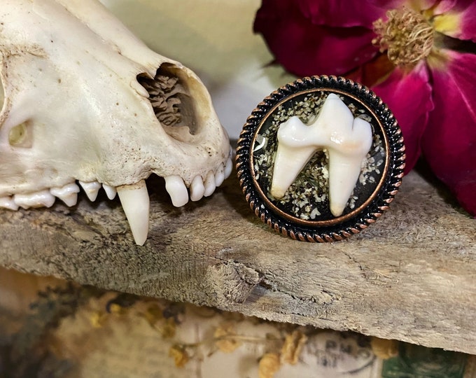 Fox Molar Tooth Ring Queen Annes Lace Goblincore - Etsy Fox Molar Tooth Ring Queen Annes Lace Goblincore - Etsy