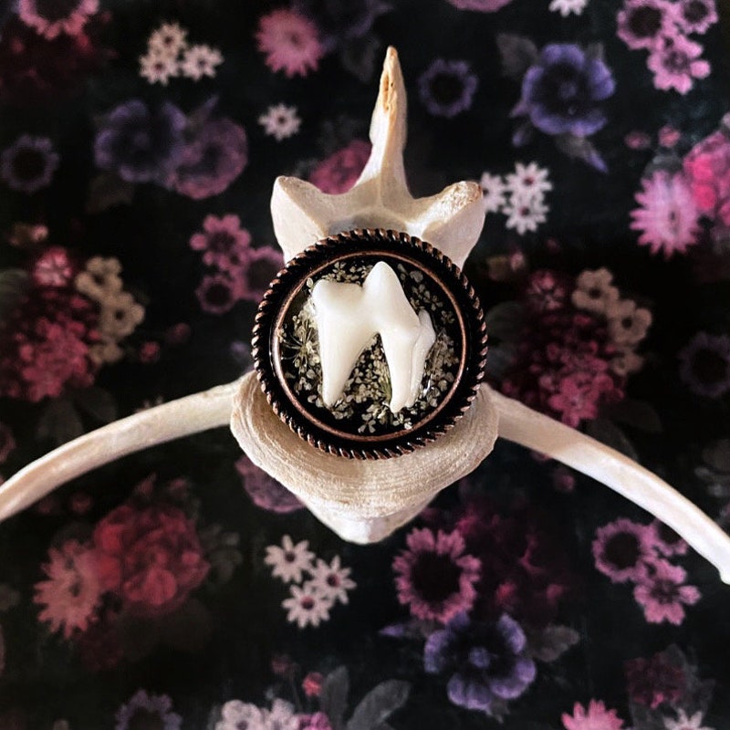 Tooth Ring - Etsy