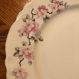 1940's Homer Laughlin China Plate, K 48 N 6, Delicate Apple Blossom ...