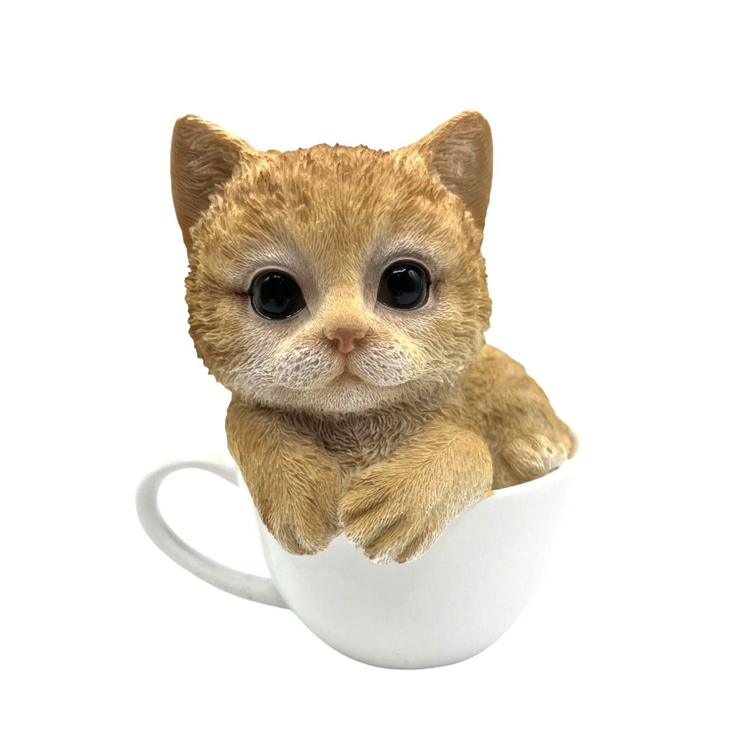 Adorable Tabby Kitten in Teacup Figurine Resin Decor - Etsy