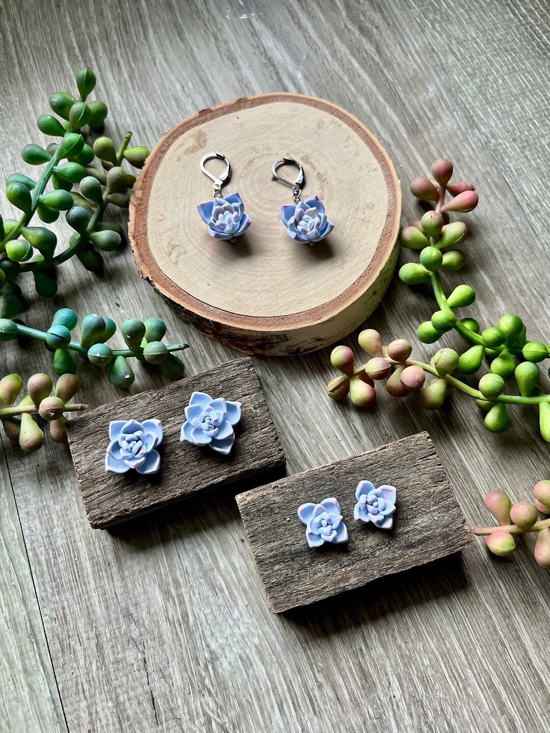 Echeveria Succulent House Plant Hand Sculpted Periwinkle Light Blue ...