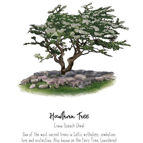 Irish Trees - Etsy