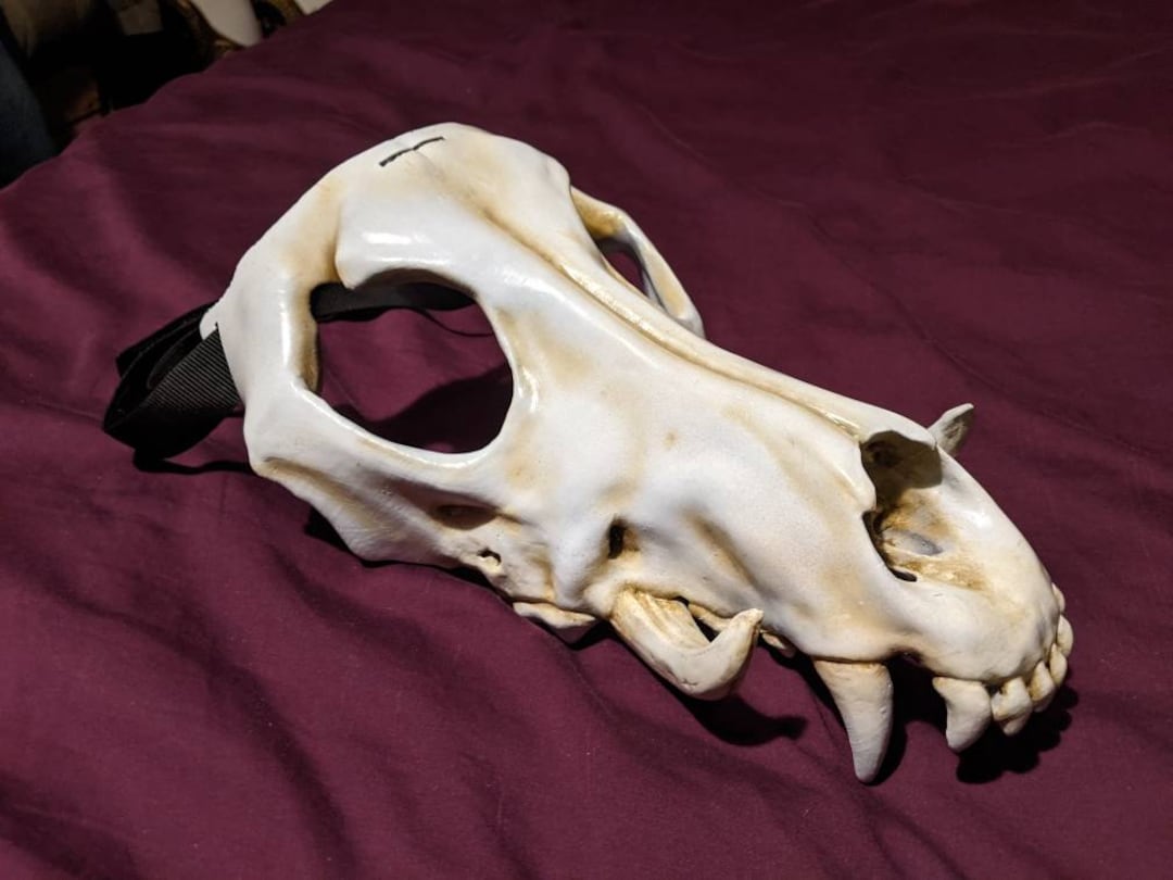 Tusked Wolf Skull Mask - Etsy