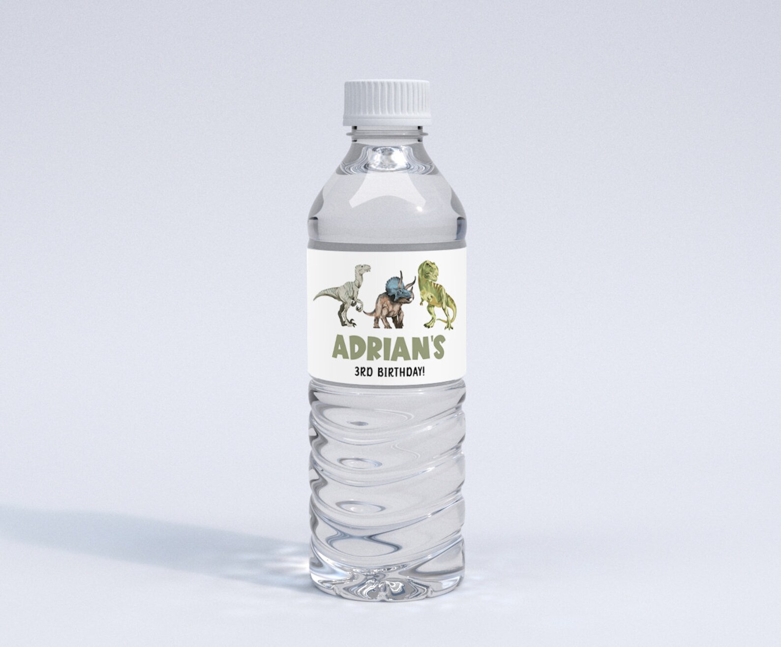 Editable Dinosaur Water Bottle Labels Printable, Instant Download Boys ...