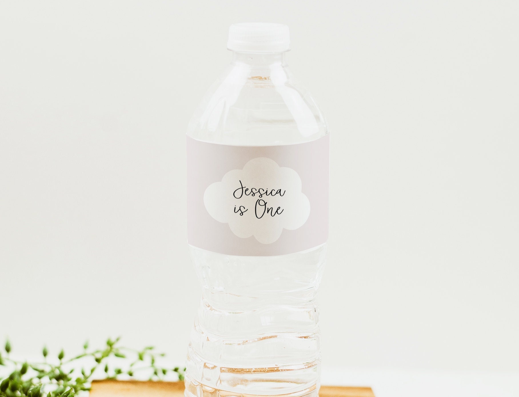 Printable Water Bottle Labels Blush Pink Editable Water - Etsy Australia
