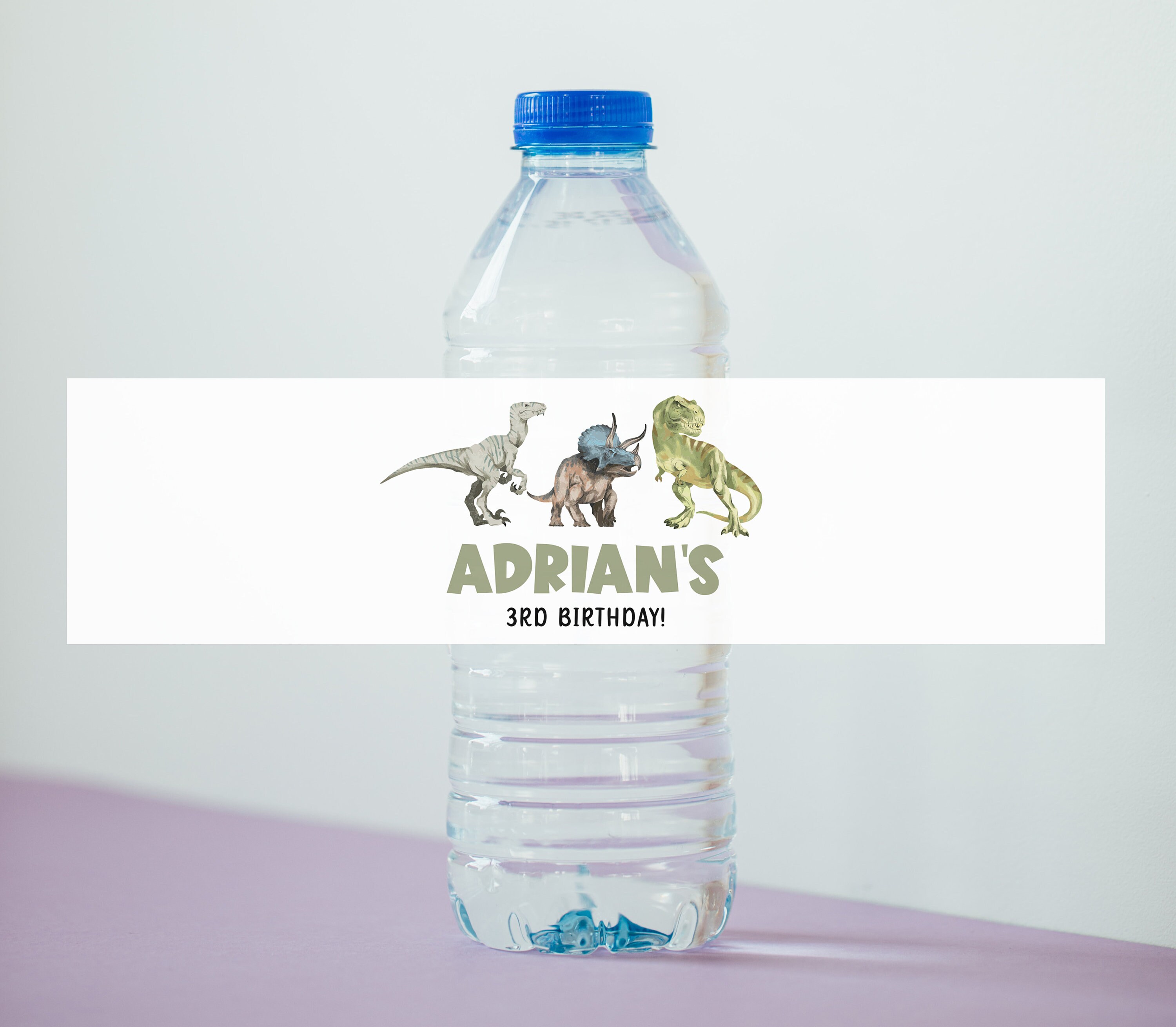 Editable Dinosaur Water Bottle Labels Printable, Instant Download Boys ...