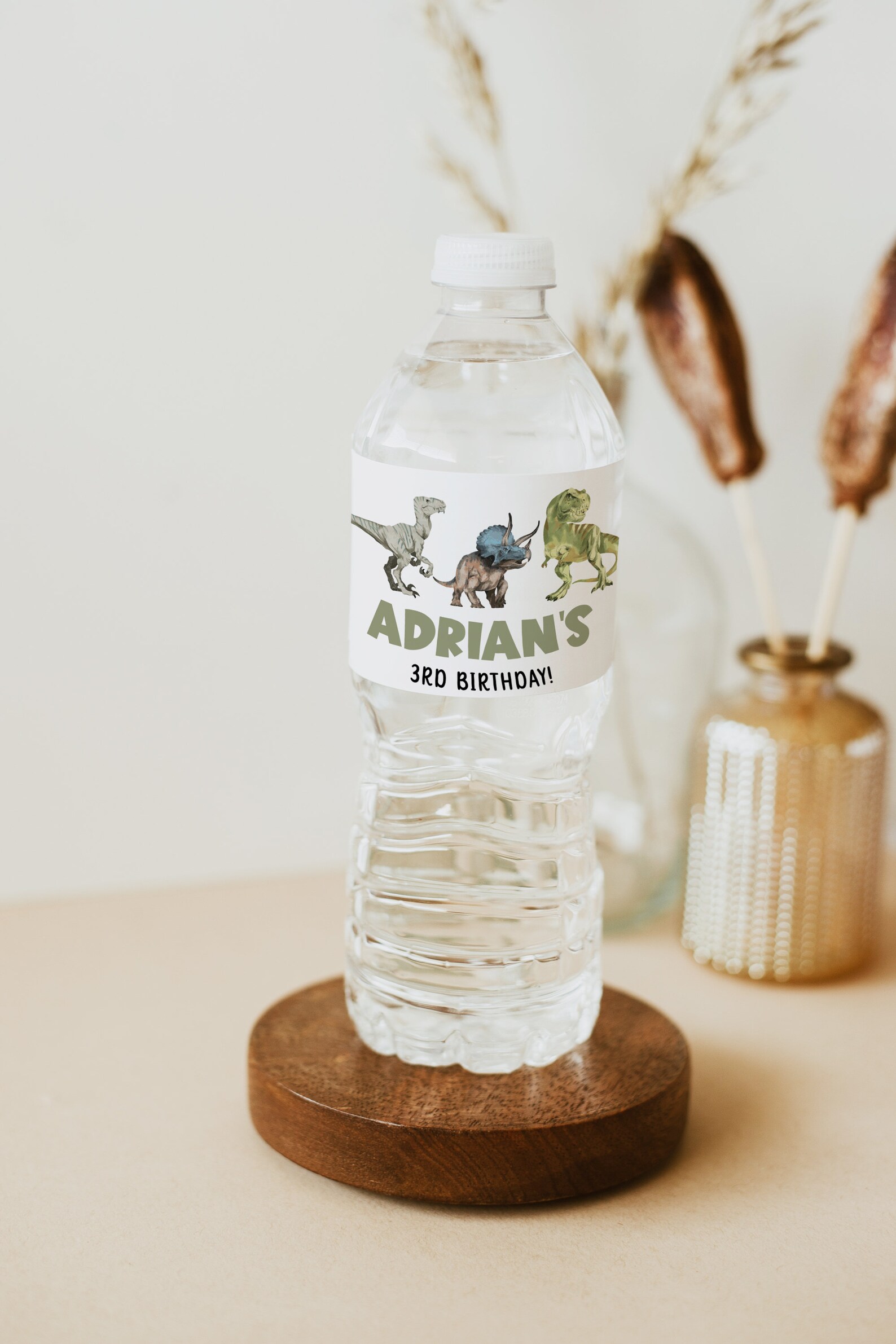 Editable Dinosaur Water Bottle Labels Printable, Instant Download Boys ...