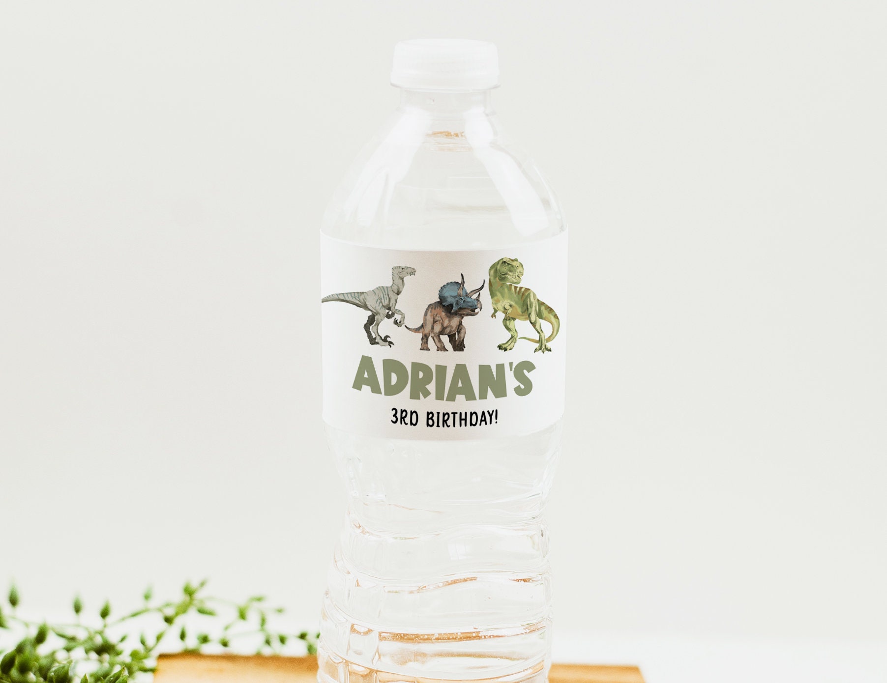 Editable Dinosaur Water Bottle Labels Printable, Instant Download Boys ...