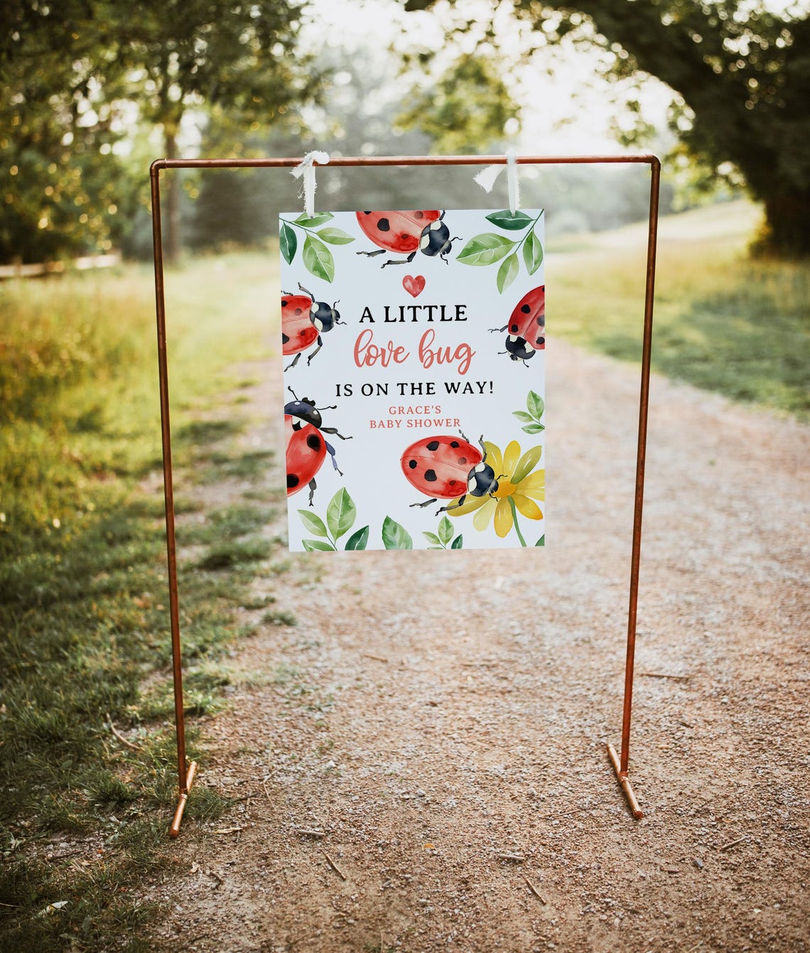 Ladybug Baby Shower Welcome Sign, Editable Template Printable Instant ...