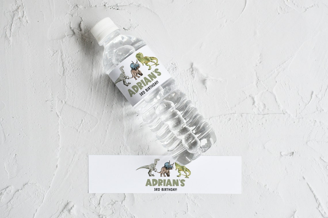 Editable Dinosaur Water Bottle Labels Printable, Instant Download Boys ...