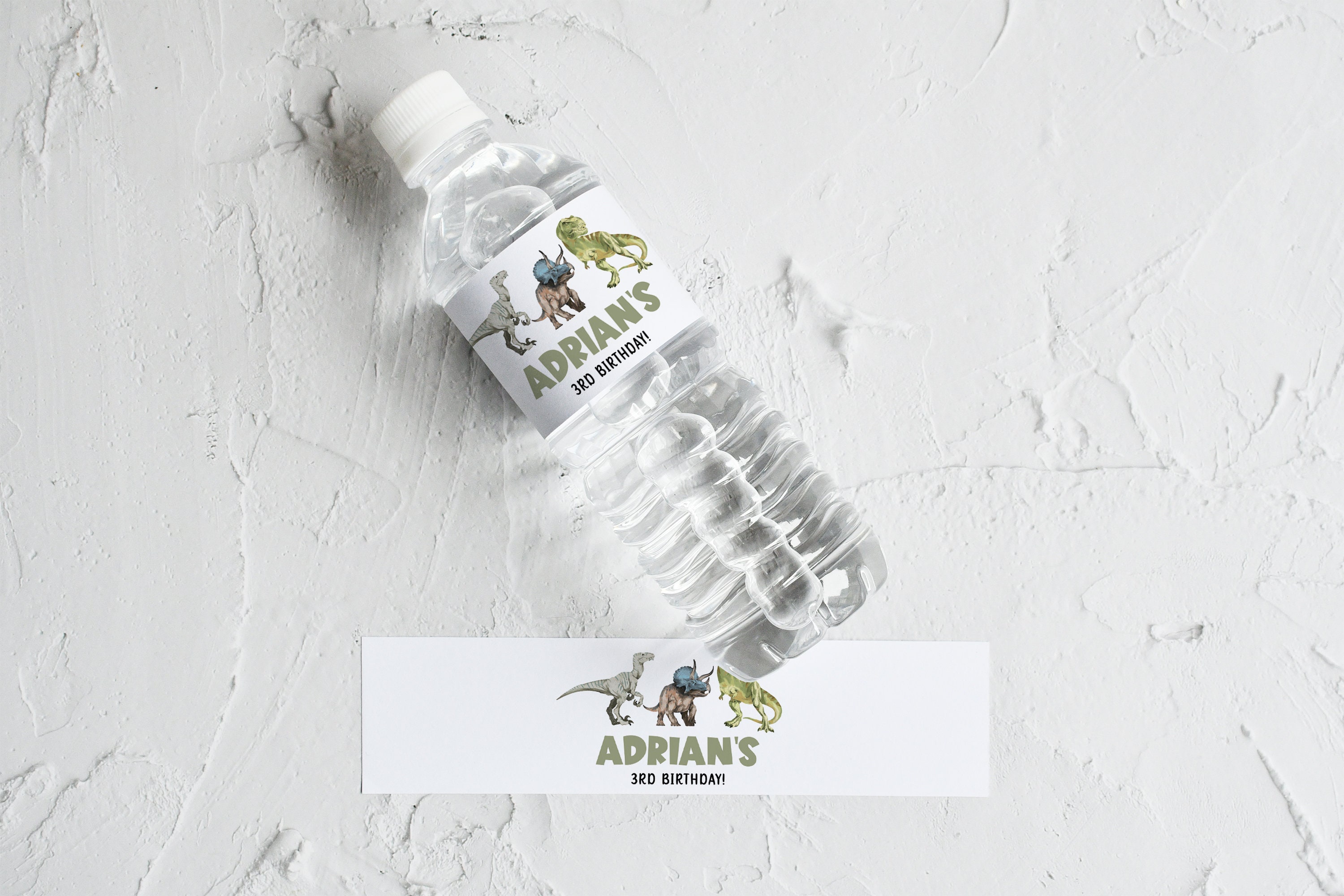 Editable Dinosaur Water Bottle Labels Printable, Instant Download Boys ...