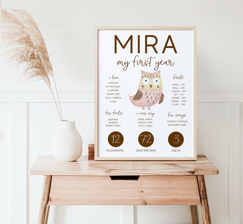 Owl 1st Birthday Milestone Poster, Editable Printable Pink Watercolor ...