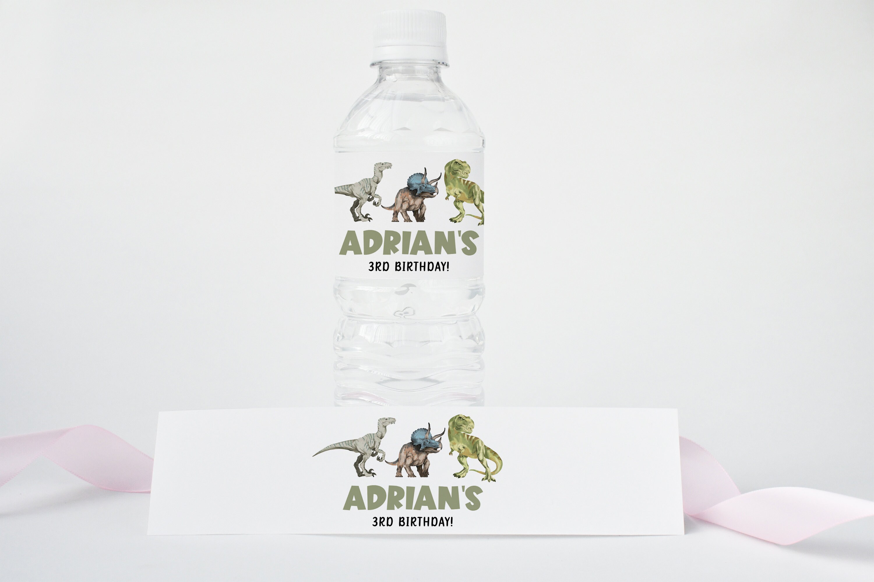 Editable Dinosaur Water Bottle Labels Printable, Instant Download Boys ...