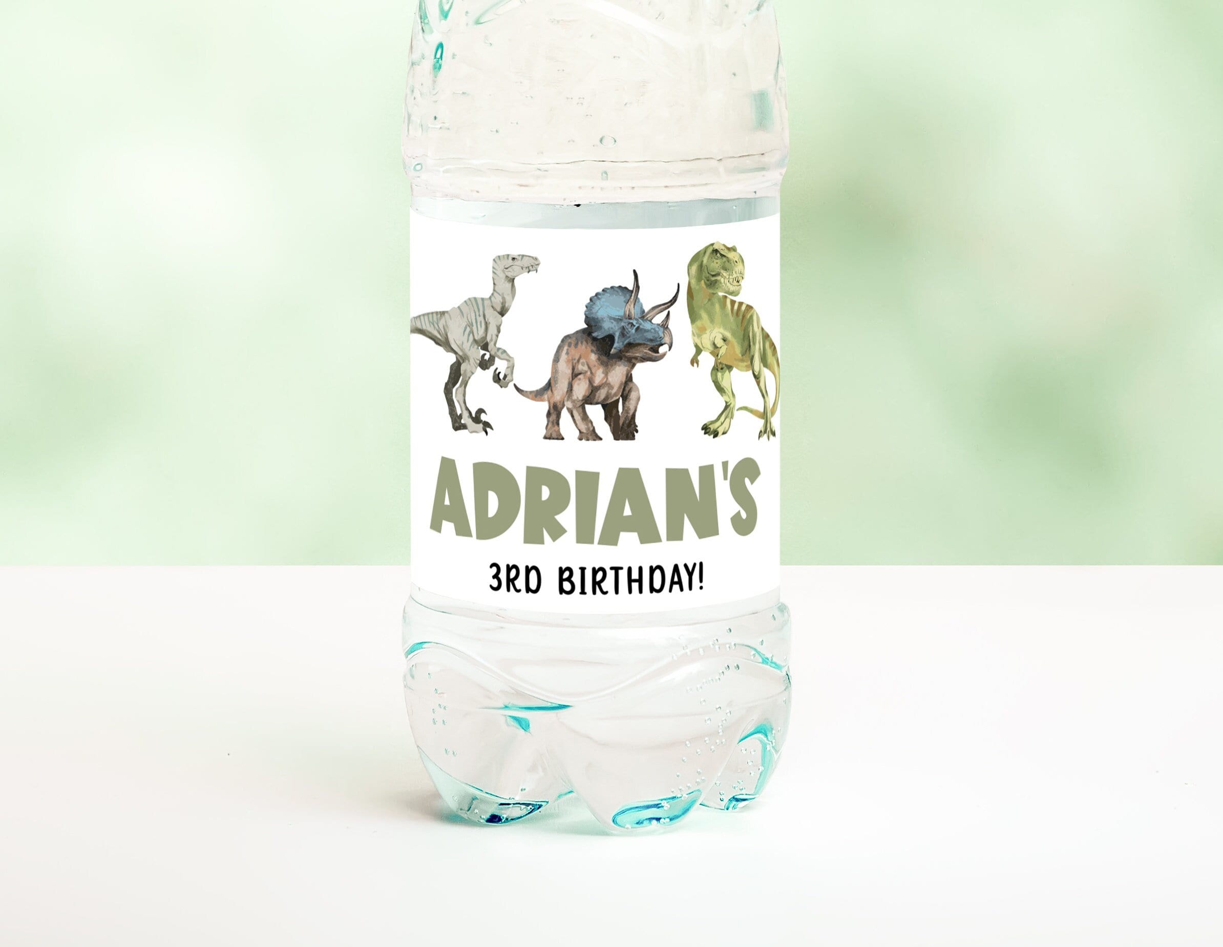 Editable Dinosaur Water Bottle Labels Printable, Instant Download Boys ...