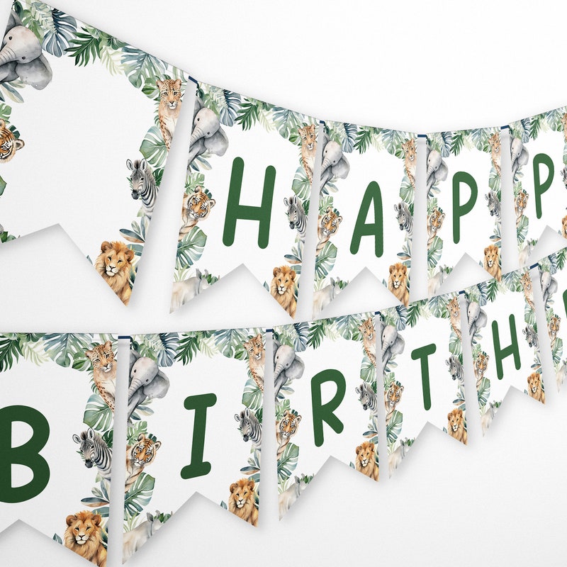 Zoo Birthday Decorations - Etsy
