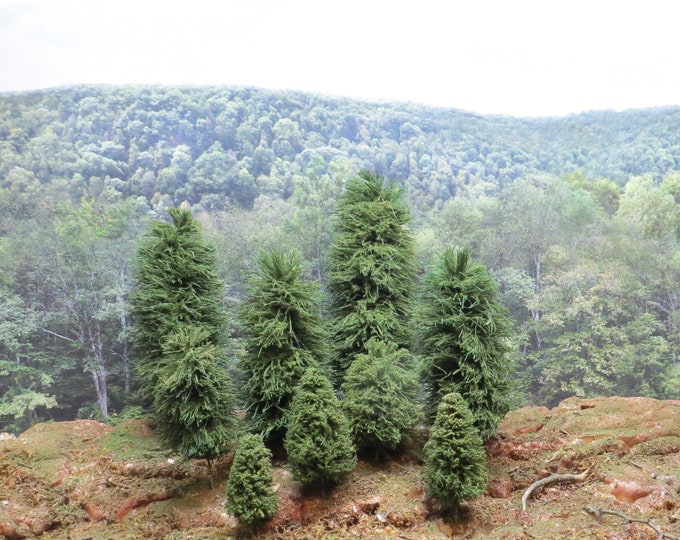 9 Realistic HO , ON30, and O Gauge Handcrafted Pine Trees for Train ...